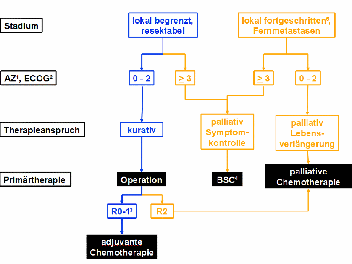 Pankreaskarzinom (Stand August 2010) — Onkopedia