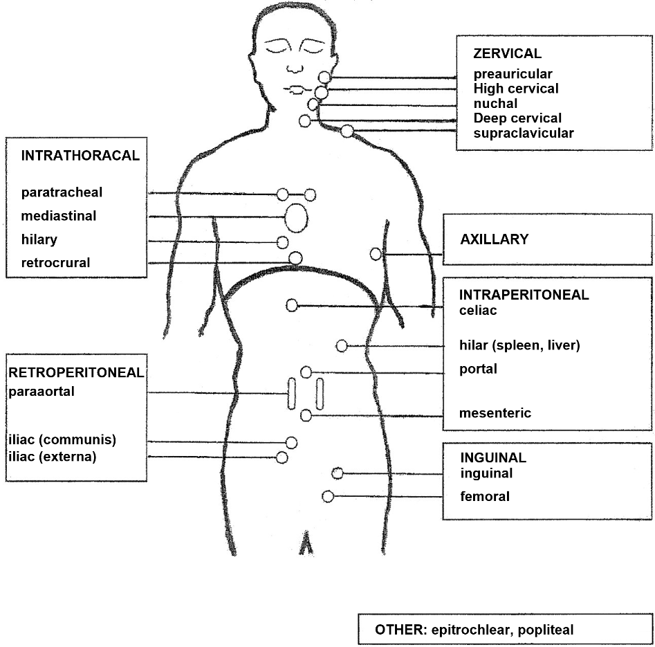 Diffuse large B-cell lymphoma — Onkopedia